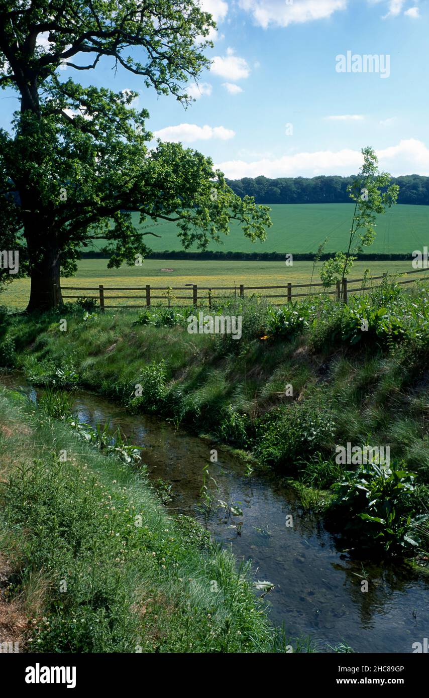 River bed of River Misbourne, Buckinghamshire. The river has lost most ...