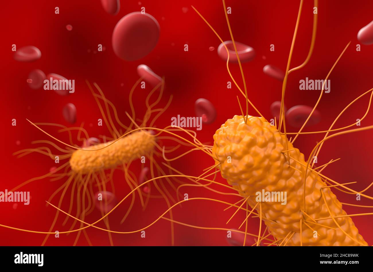 General bacterias in the blood flow - closeup view 3d illustration ...