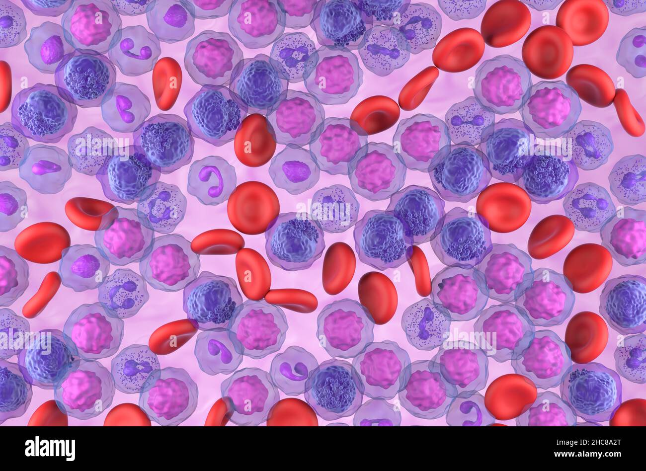 Acute myeloid leukemia (AML) cells field - top view 3d illustration ...