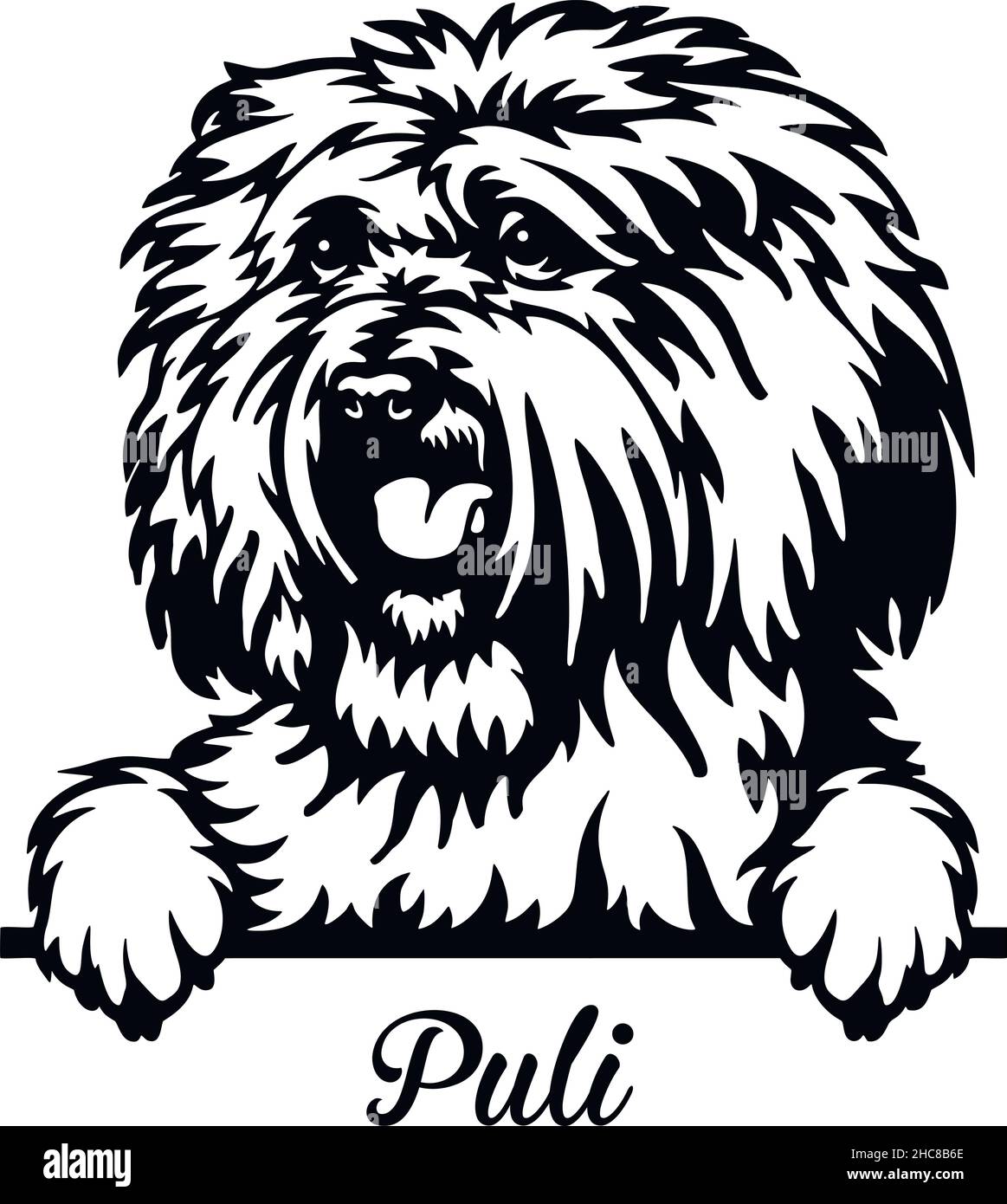 Puli Peeking Dog - head isolated on white - vector stock Stock Vector ...