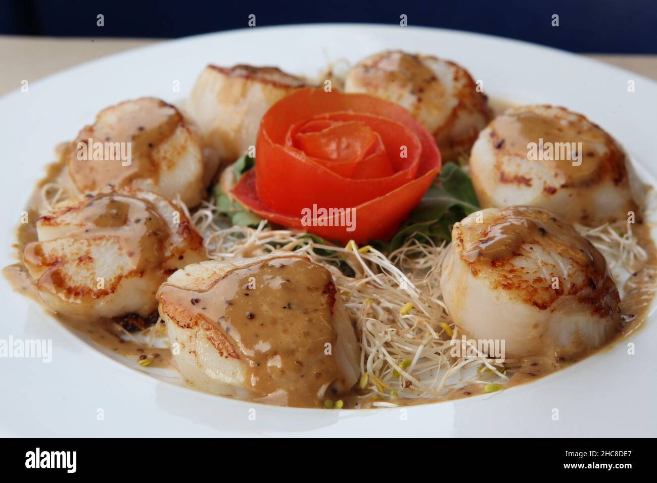 A plate of coquilles saint jacques Scallop Stock Photo - Alamy