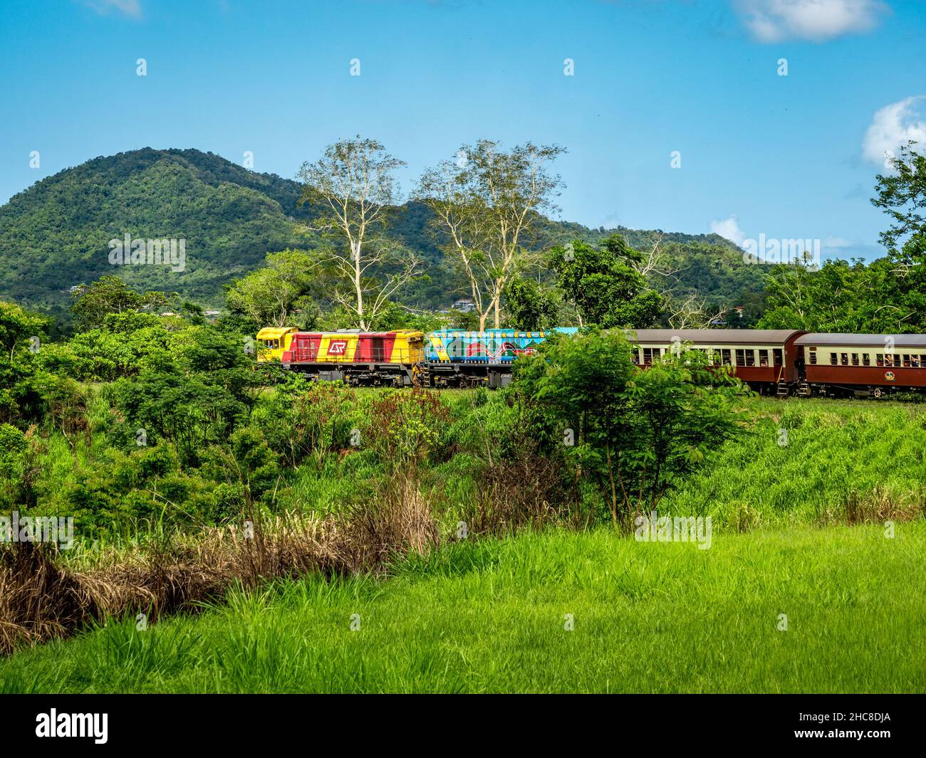 Moving through grass hi-res stock photography and images - Alamy
