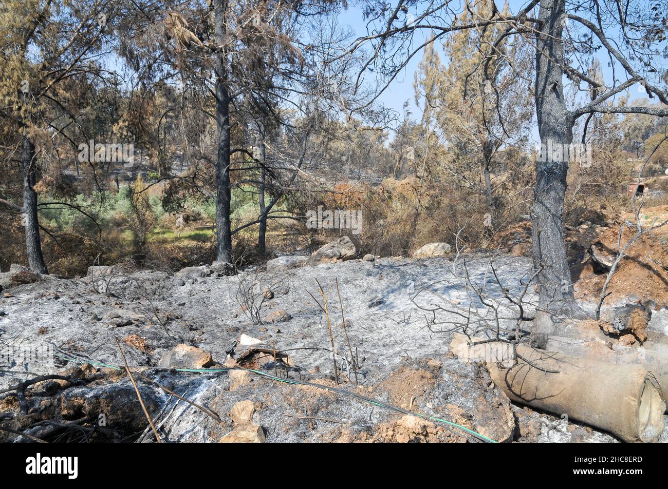 On May 23 2019, a forest fire devastated the village of Mevo Modiim ...