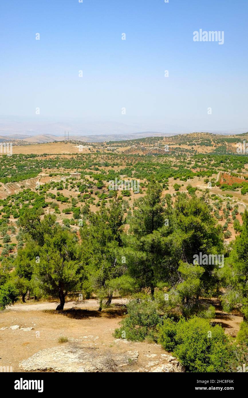 Ajloun castle architecture hi-res stock photography and images - Alamy