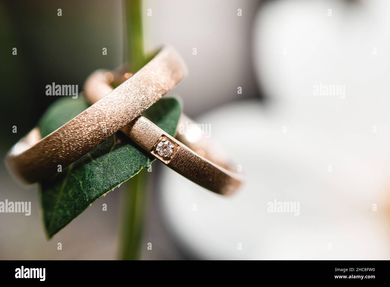 Shallow focus macro shot of wedding rings around a plant Stock Photo ...
