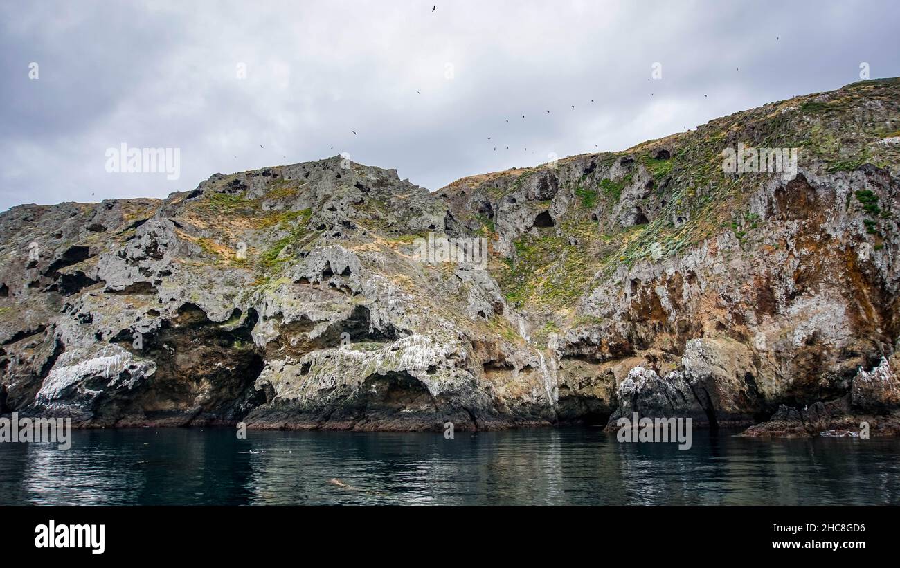 Beautiful massive cliffs of Anacapa Island in the Channel Islands ...