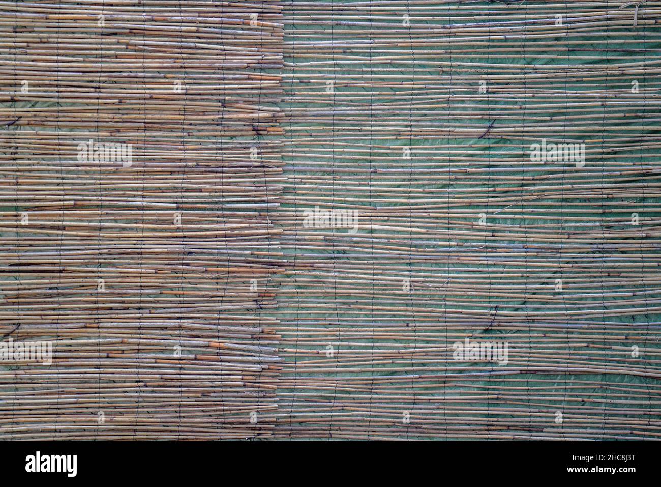 Close-up shot of reed mats on a garden fence as a privacy screen Stock ...