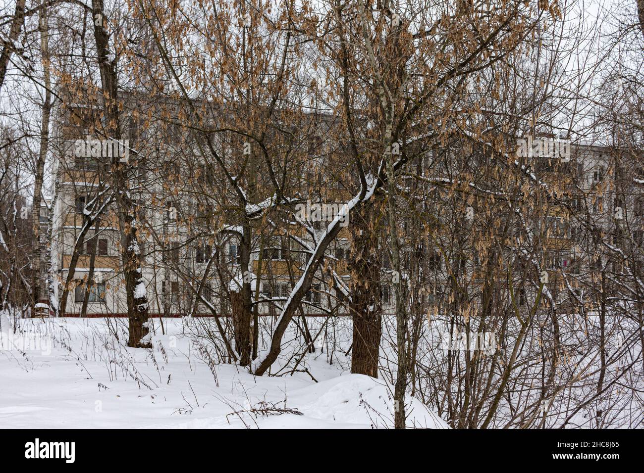 Gray Soviet panel house in winter hides behind trees Stock Photo - Alamy