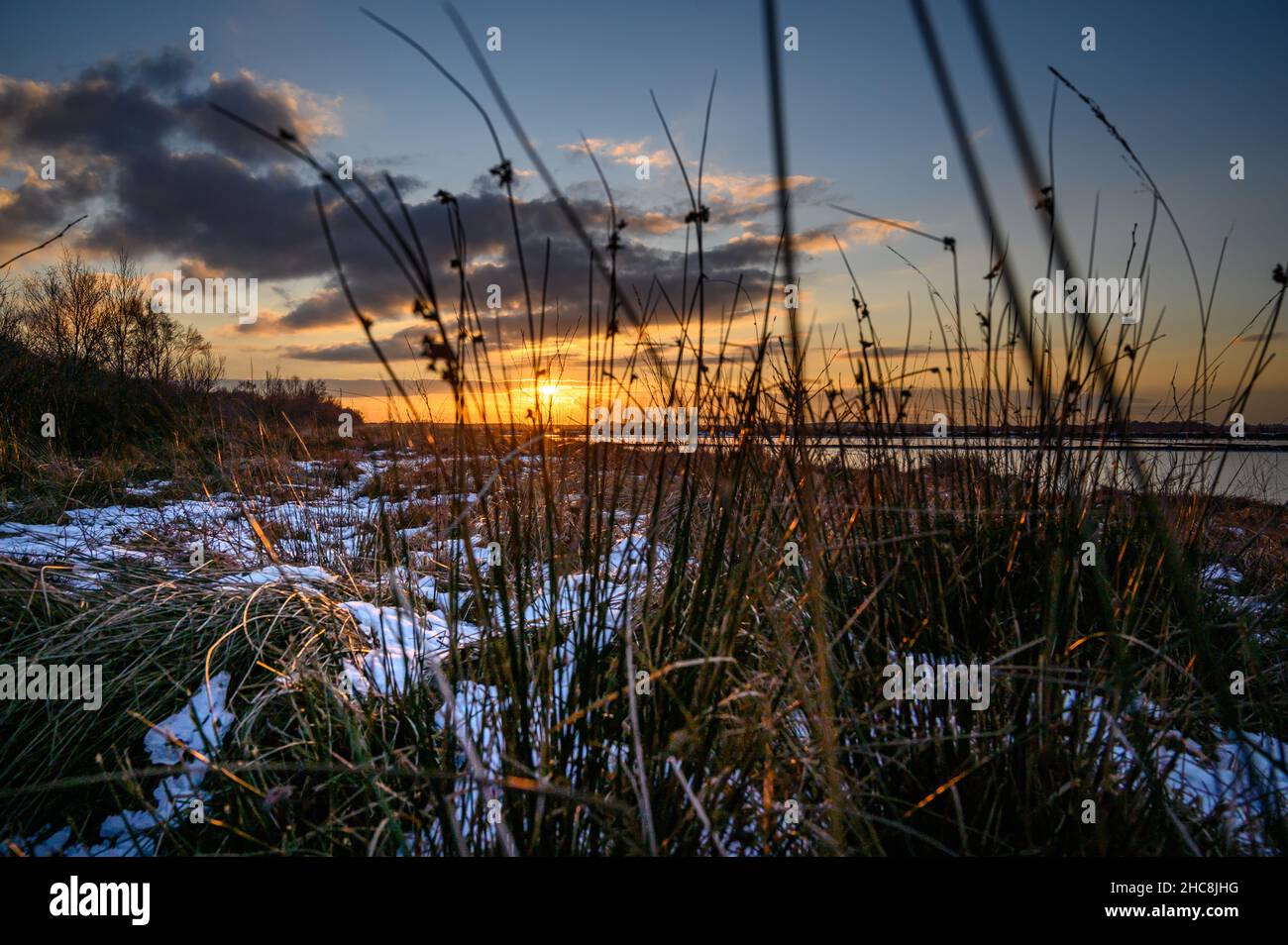 Moss peat bog pool hi-res stock photography and images - Alamy