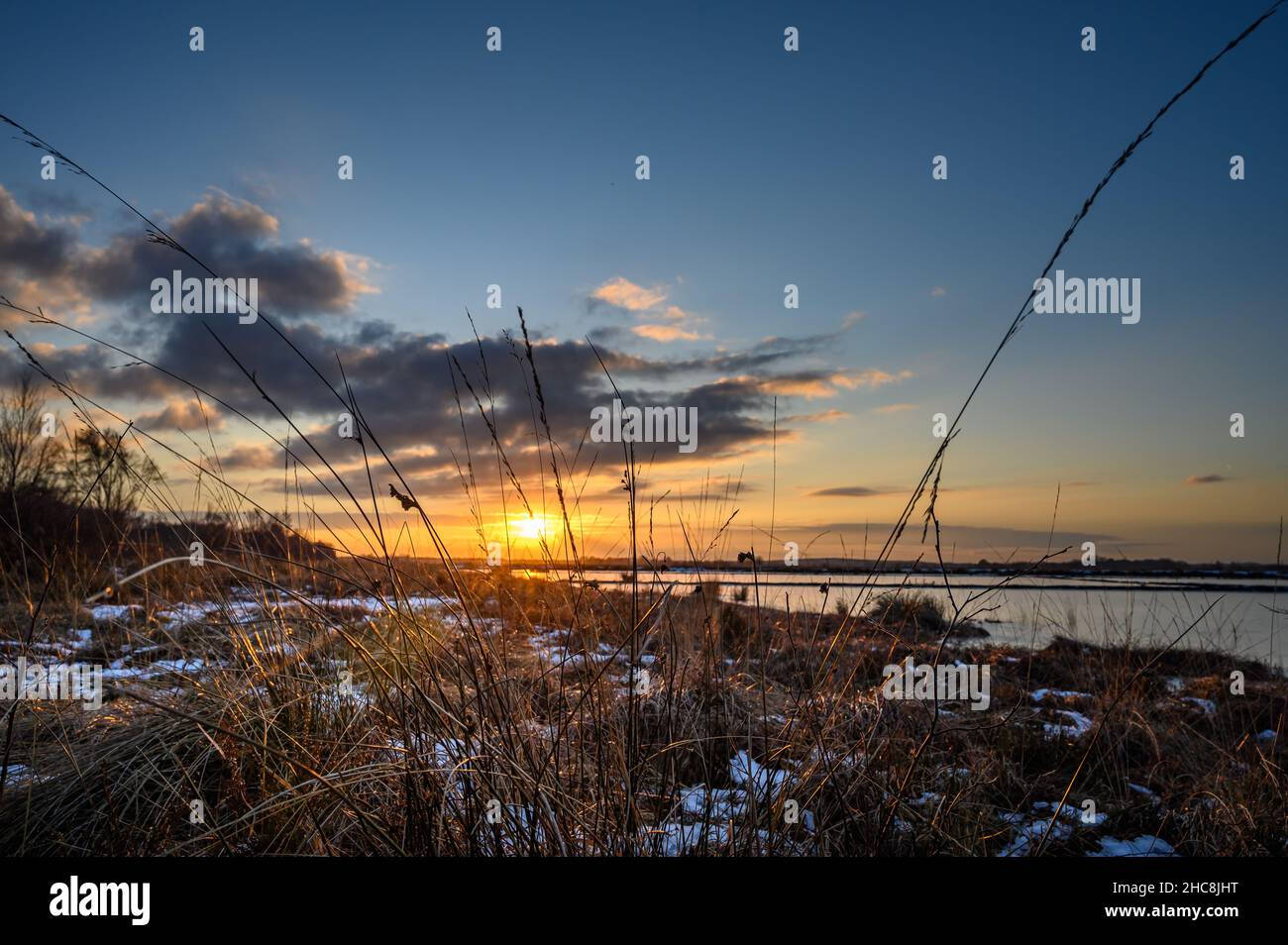 Moss peat bog pool hi-res stock photography and images - Alamy