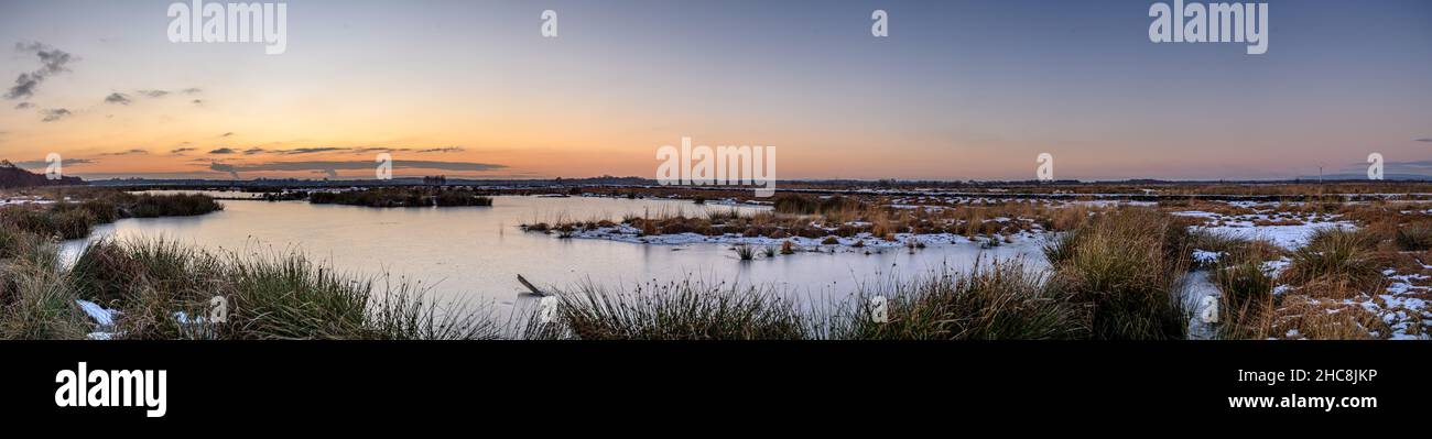 Chat moss hi-res stock photography and images - Alamy