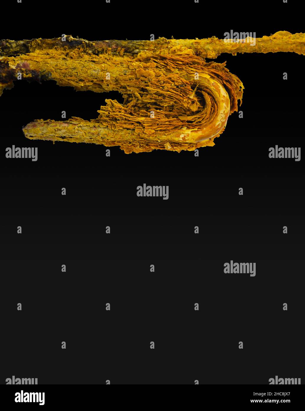 Damaged boiler, damaged heating element, rust and scale with sediment ...
