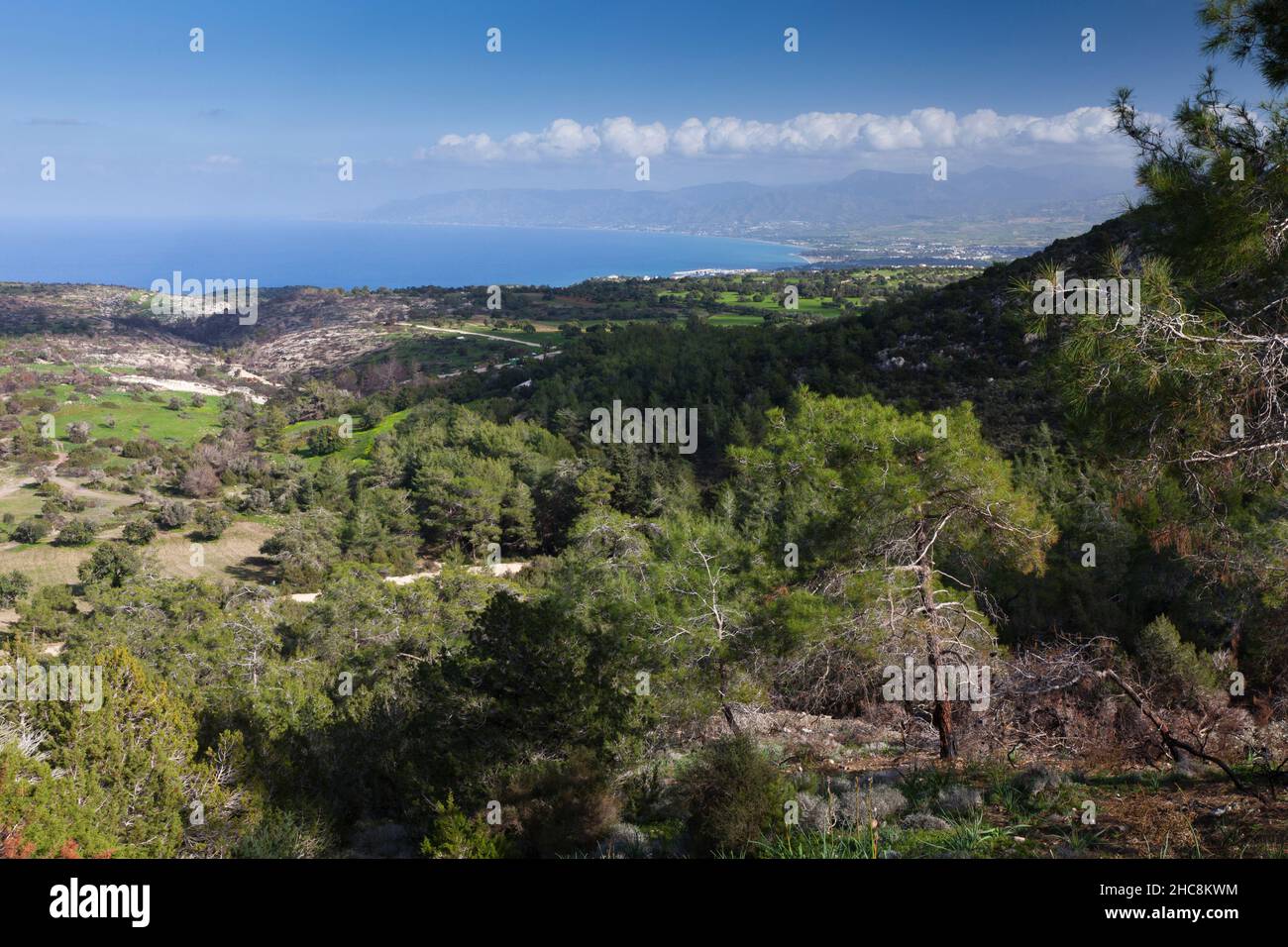 Vegetation on the Akamas peninsula nature reserve, looking east, Island ...