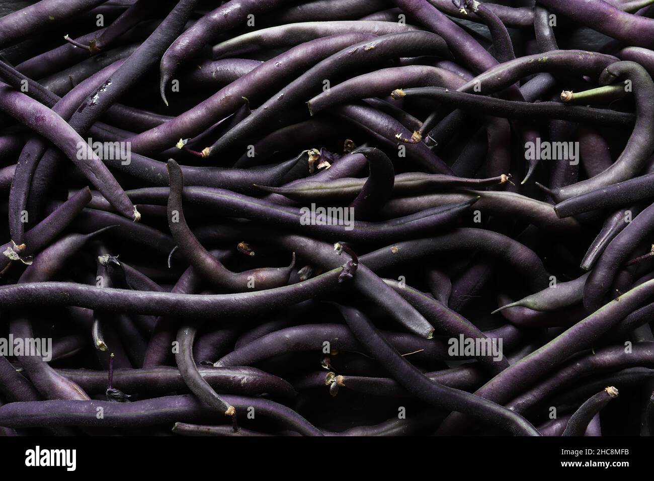 Photography of purple french bean / Purple french bean also named ...