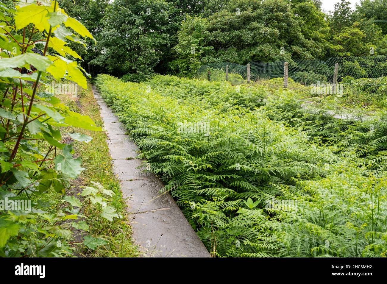 Manchester Bolton & Bury Canal bridge crossing of the River Irwell ...