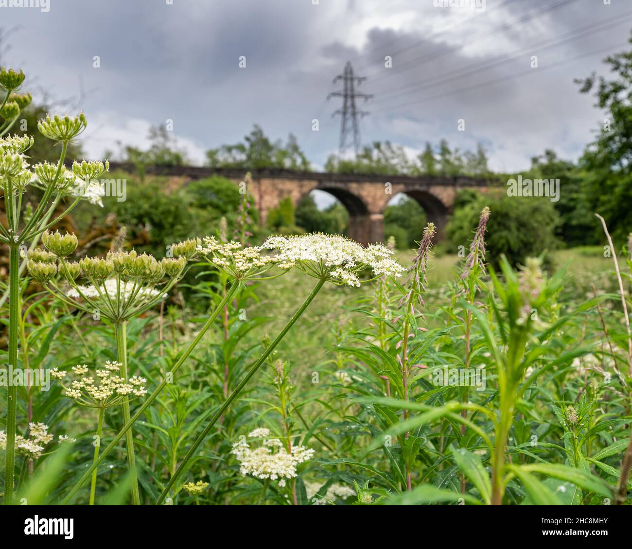 Grade II listed structure - Thirteen Arches railway bridge crossing of ...