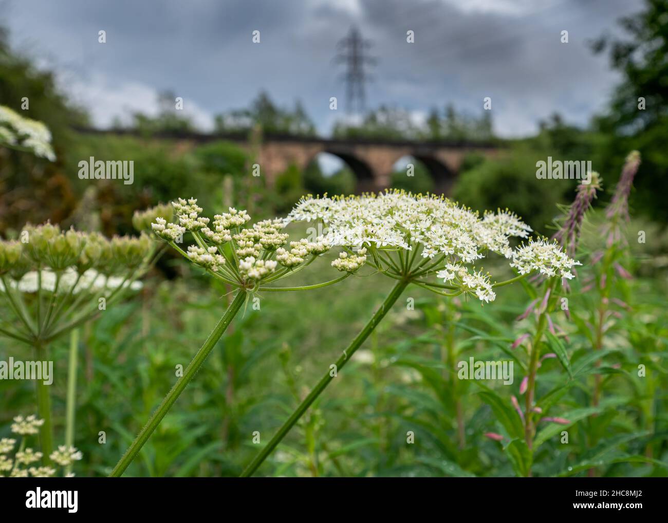 River irwell clifton hi-res stock photography and images - Alamy