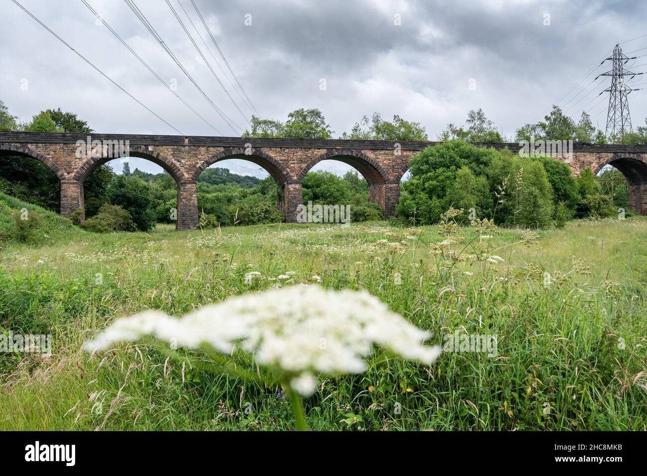 Grade II listed structure - Thirteen Arches railway bridge crossing of ...