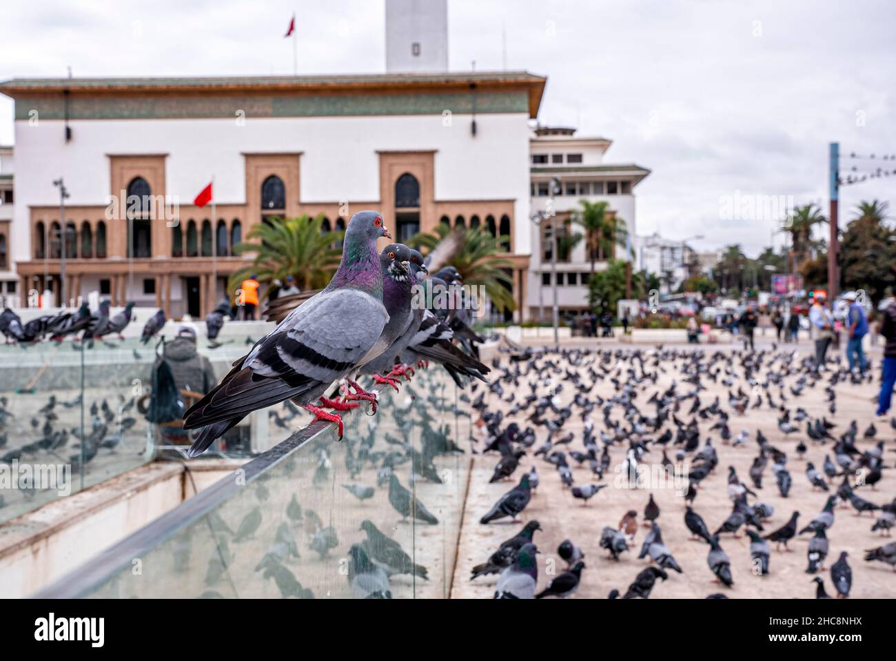 Palace of Justice on Mohammed V Square in Casablanca Stock Photo - Alamy