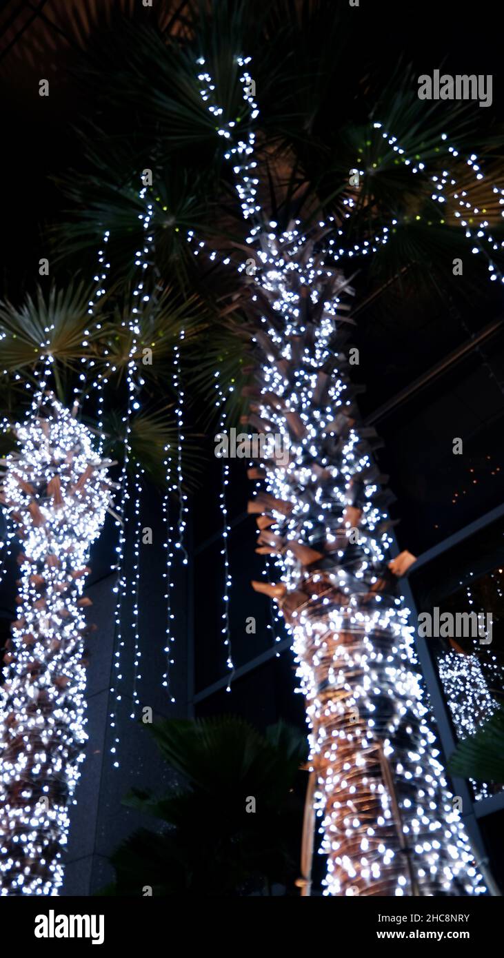 Christmas Decorations Bangkok Marriott Hotel Sukhumvit Exterior Night ...