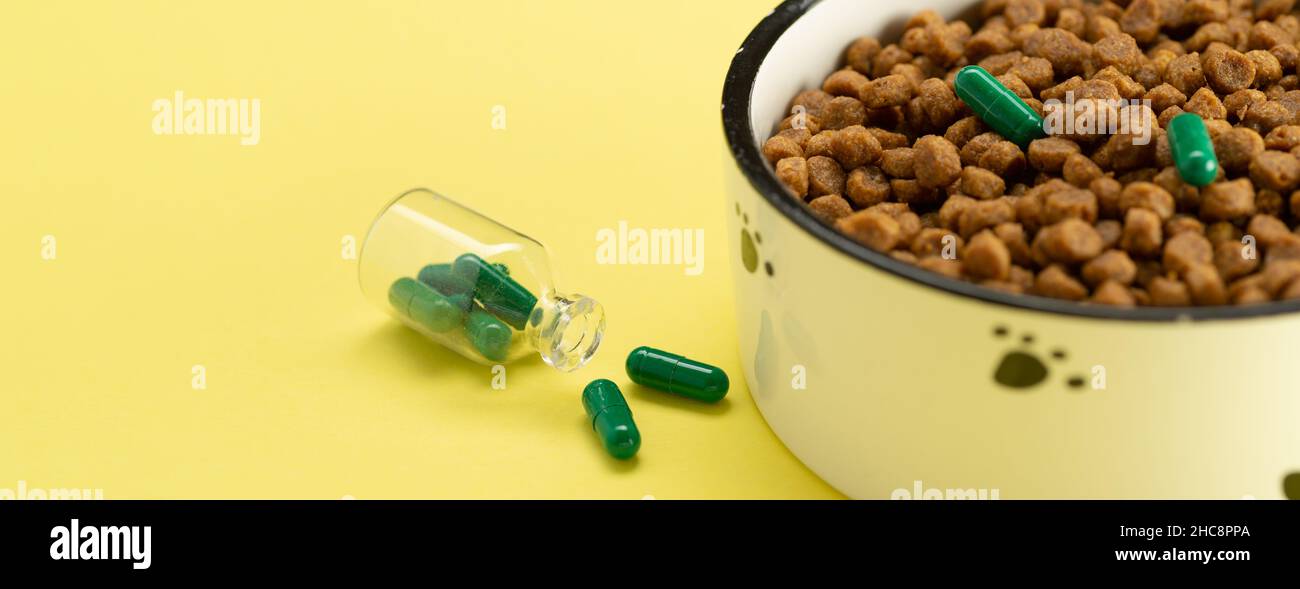 Animal food with tablets in a bowl. Vitamins for animals. Treating cats ...