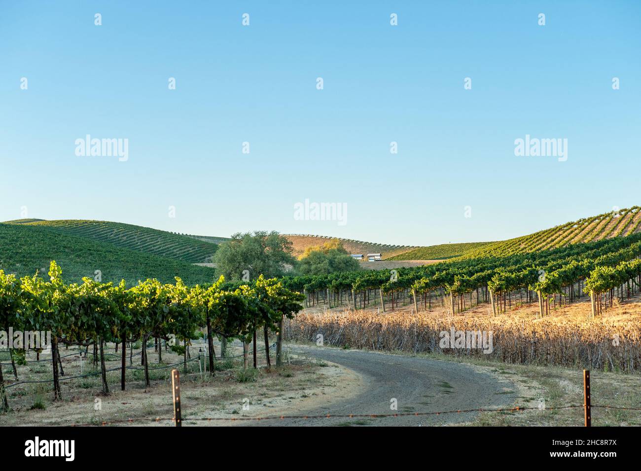 California vineyard scenic hi-res stock photography and images - Alamy