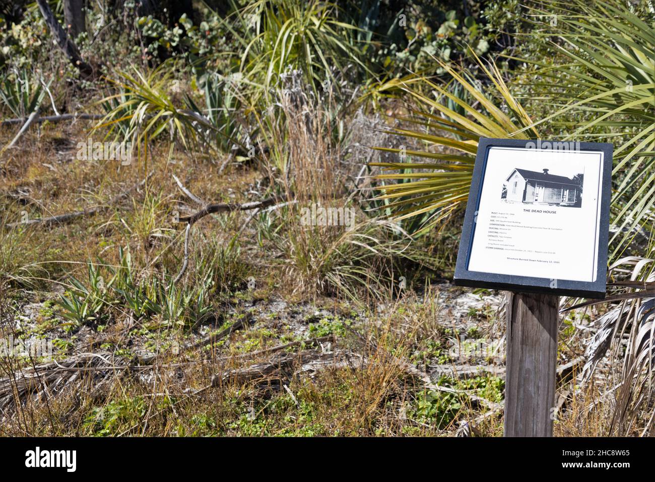 The site of the morgue, called the Dead House, part of the ruins of ...