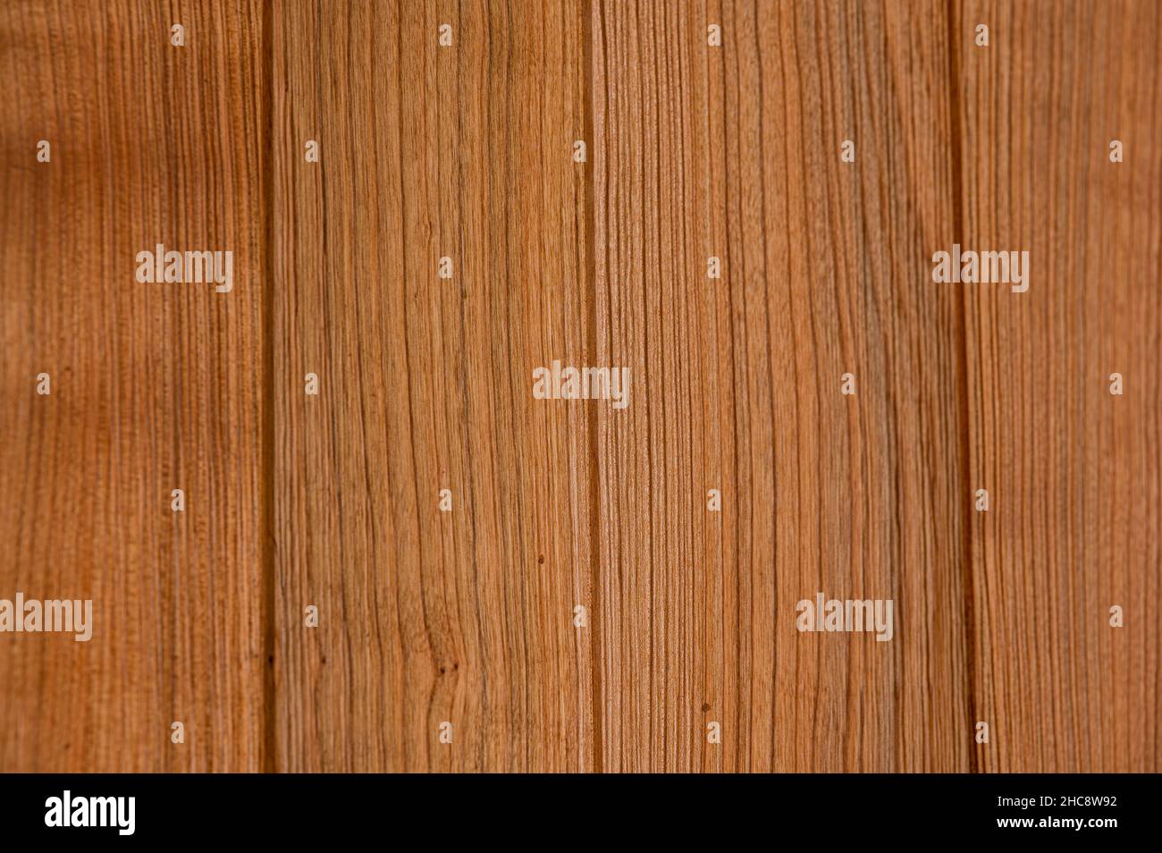 Wood texture, wood background. Sweet Cherry (Prunus avium). Realistic ...