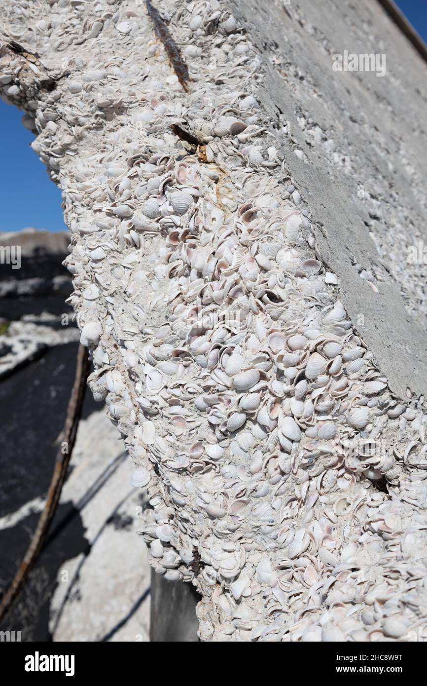 Walls made of coquina, make up part of the crumbling ruins of the power ...