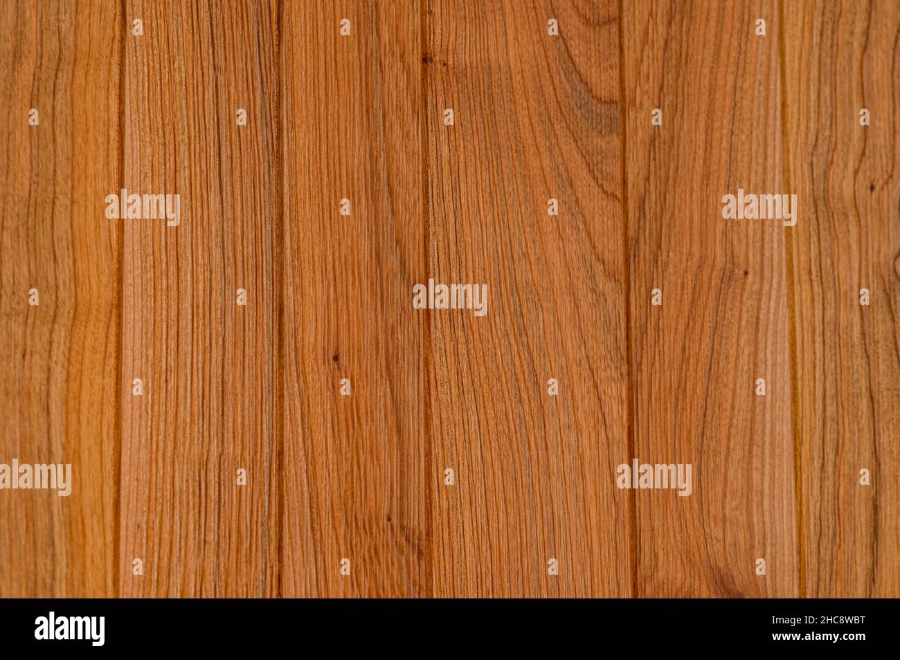 Wood texture, wood background. Sweet Cherry (Prunus avium). Realistic ...