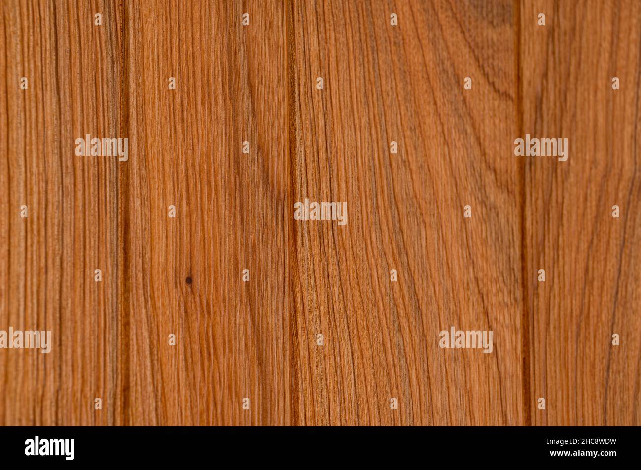 Wood texture, wood background. Sweet Cherry (Prunus avium). Realistic ...