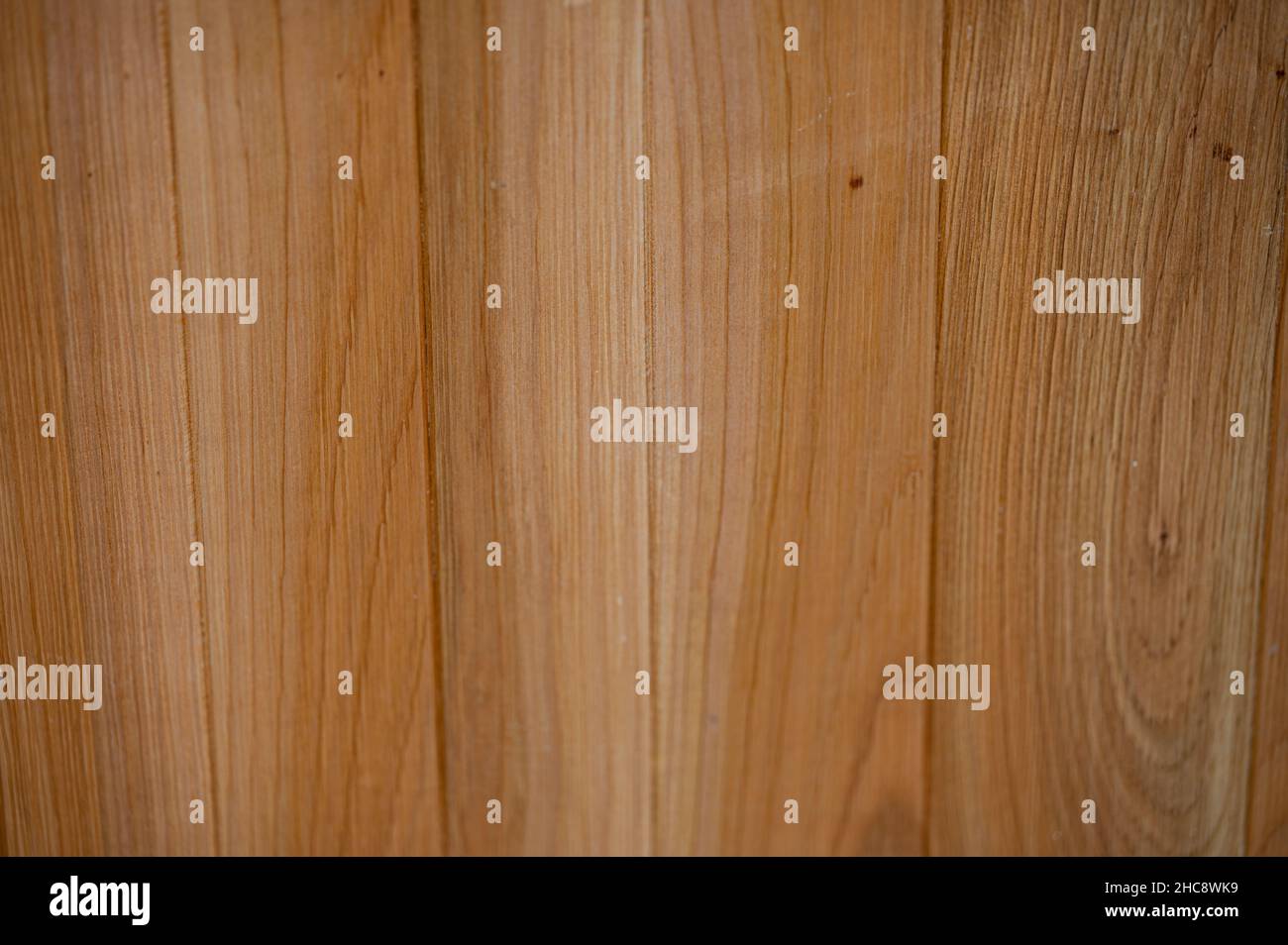 Wood texture, wood background. Sweet Cherry (Prunus avium). Realistic ...