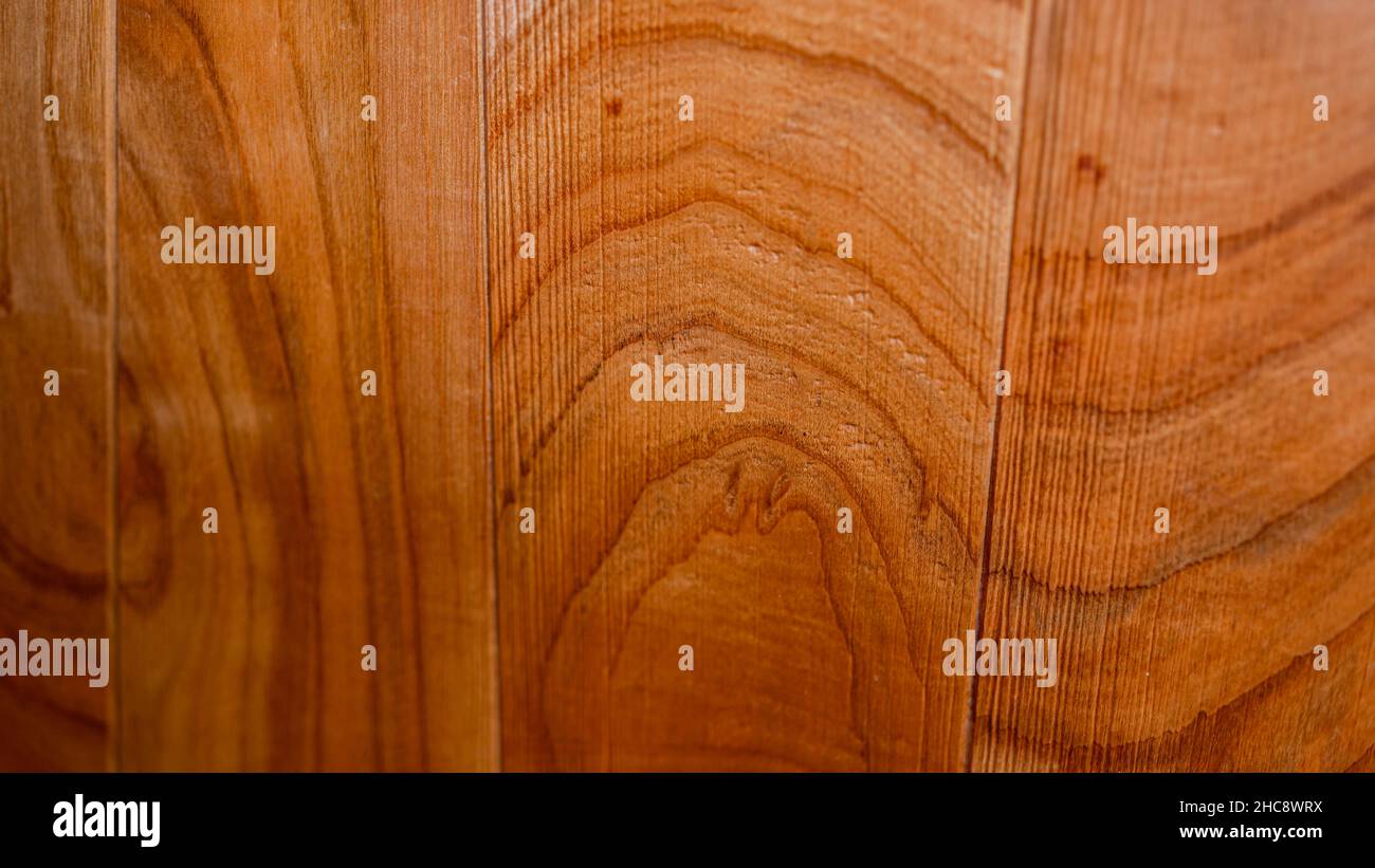 Wood texture, wood background. Sweet Cherry (Prunus avium). Realistic ...