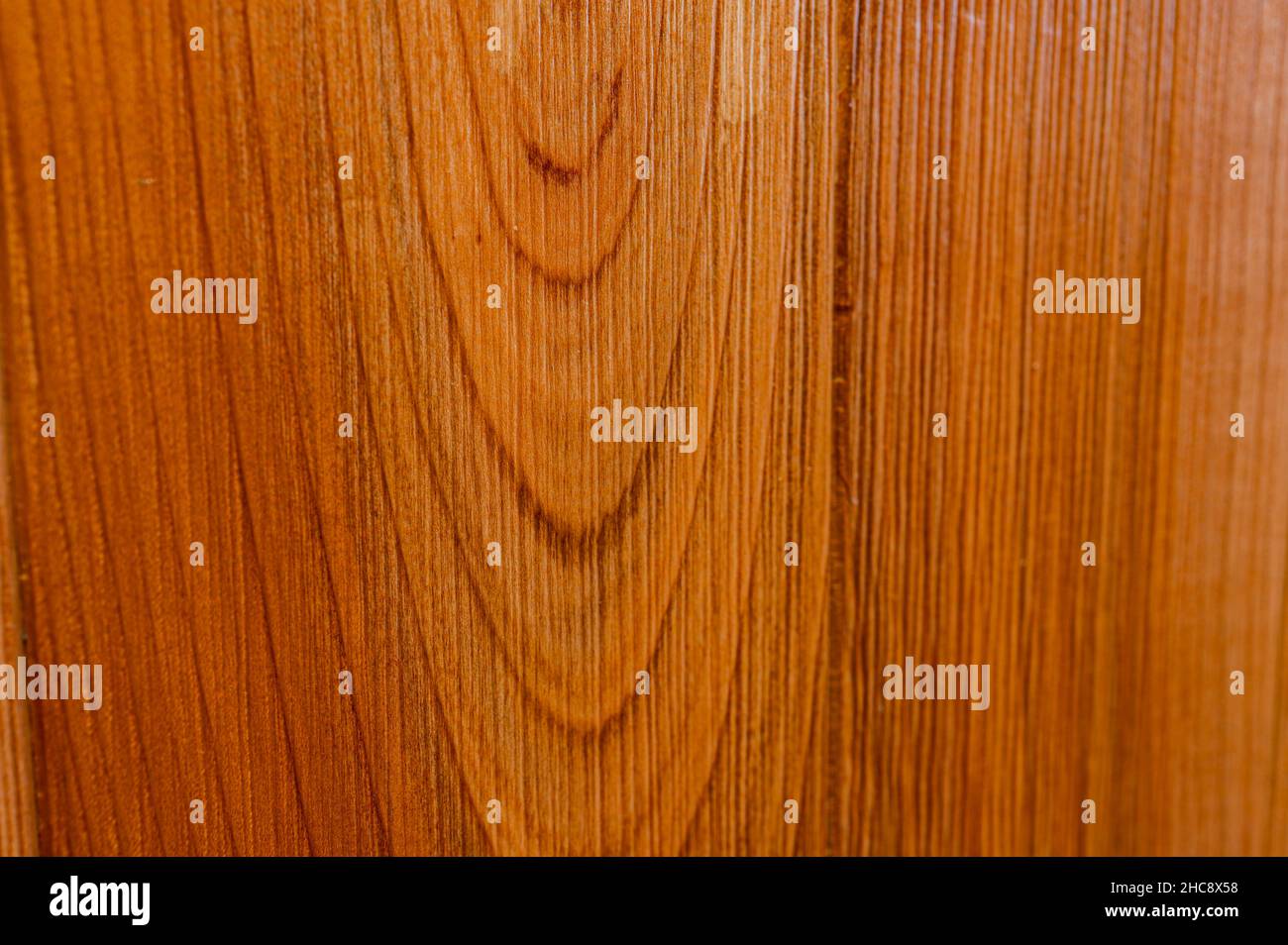 Wood texture, wood background. Sweet Cherry (Prunus avium). Realistic ...