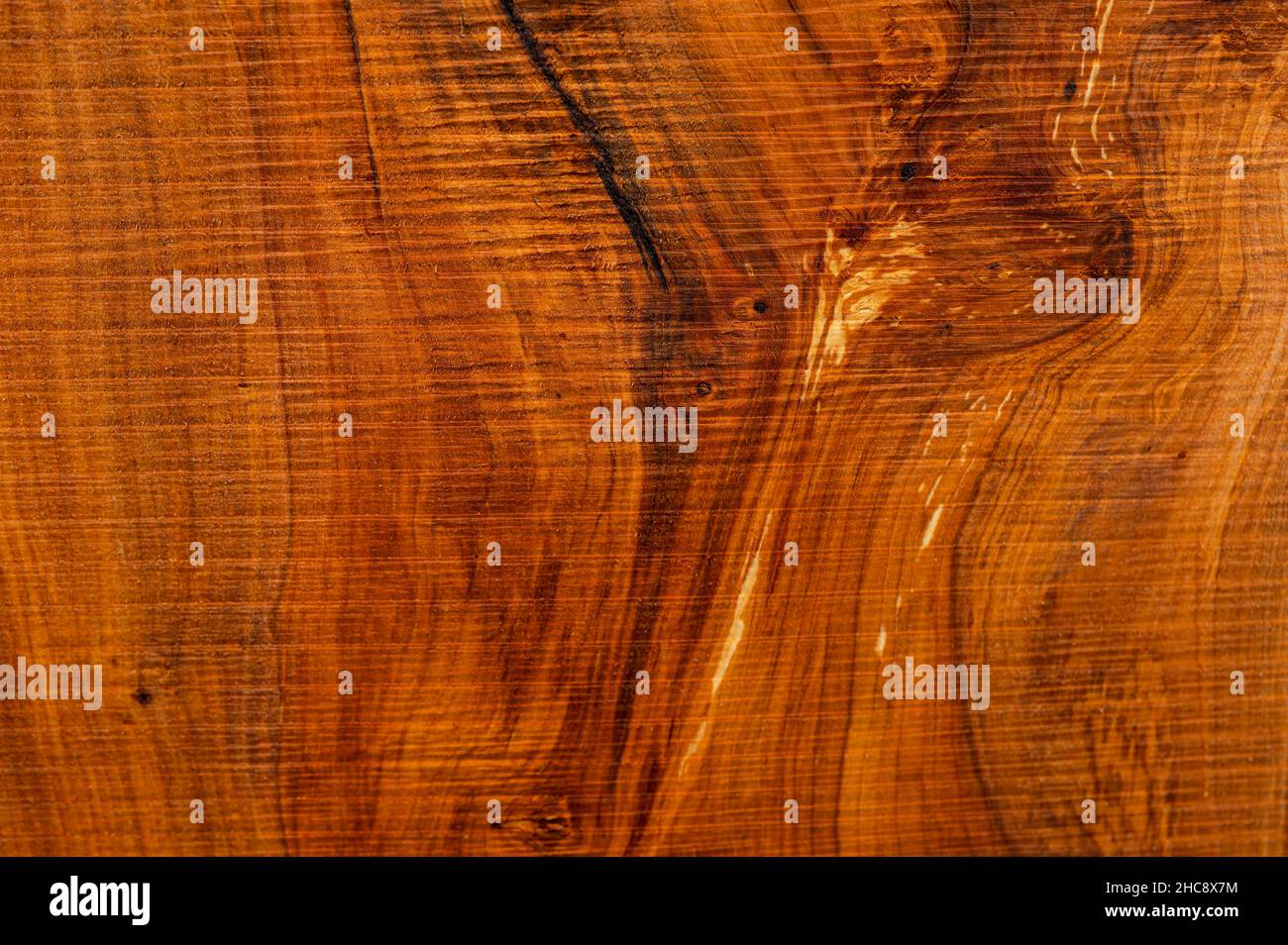 Wood texture, wood background. Apple tree (Malus pumila, Malus ...