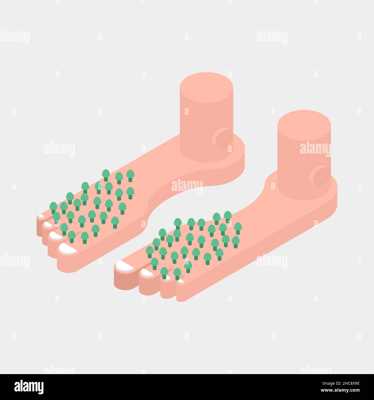 Fungus on feet. Mycosis between fingers. Disease of skin of fingers and ...