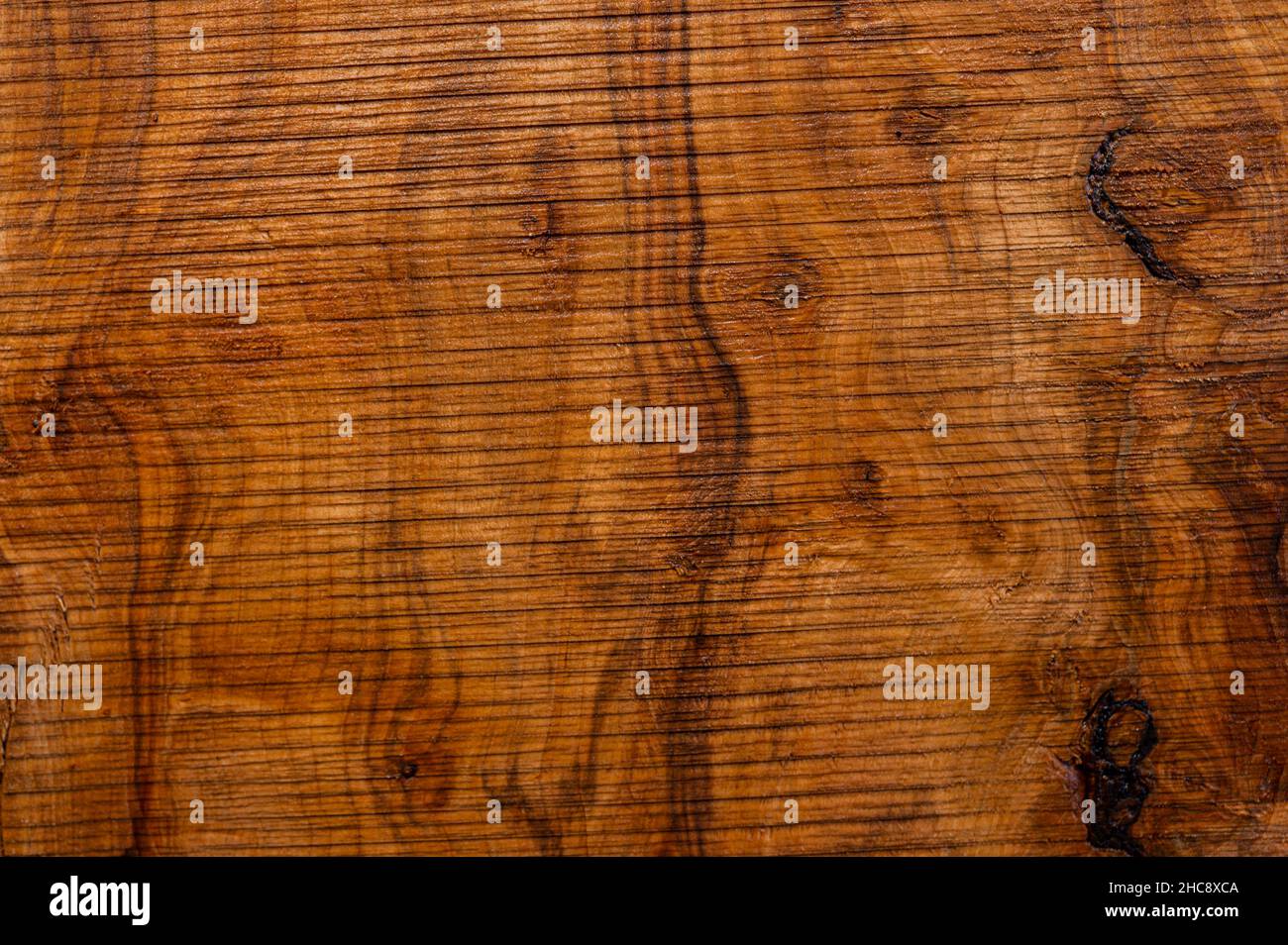Wood texture, wood background. Apple tree (Malus pumila, Malus ...
