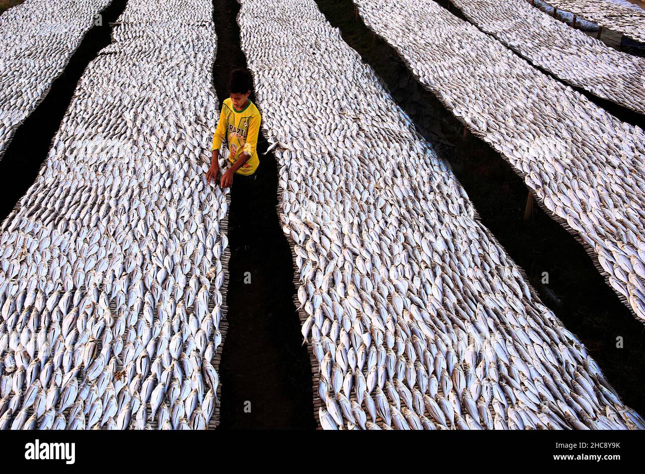 (211226) -- CHATTOGRAM, Dec. 26, 2021 (Xinhua) -- A child dries fish at ...