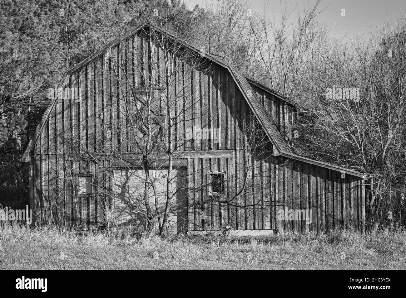 Cattle building barn hi-res stock photography and images - Alamy