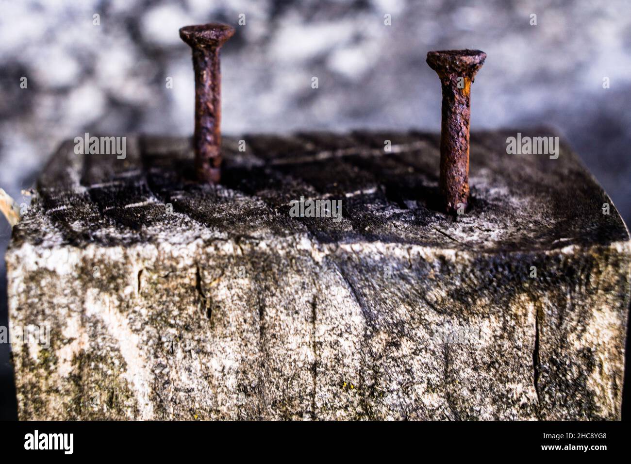 Rusty nails embedded in the rough piece of wood Stock Photo - Alamy