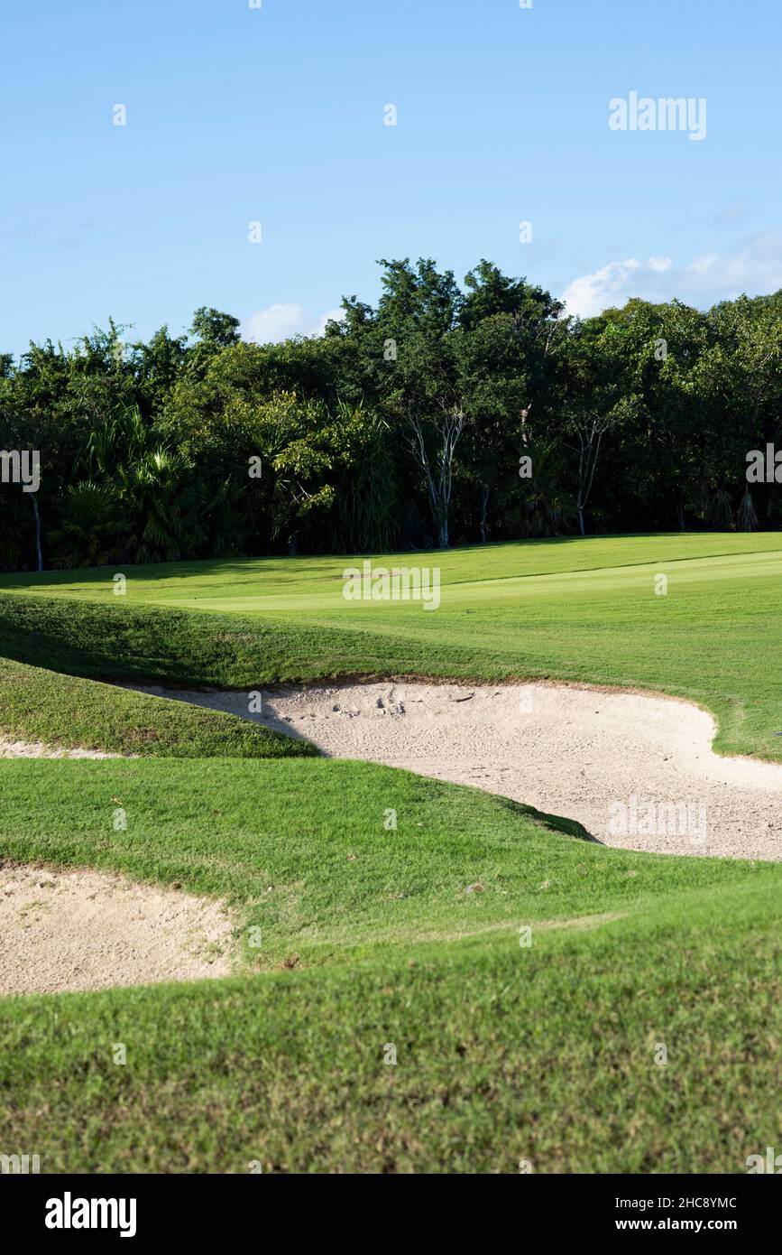 Vertical panoramic photo of a golf course in Mexico with sand bunkers ...