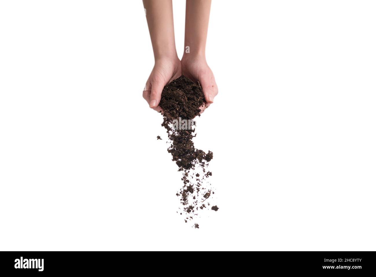 Brown soil in woman hands isolated on white background. The soil falls ...