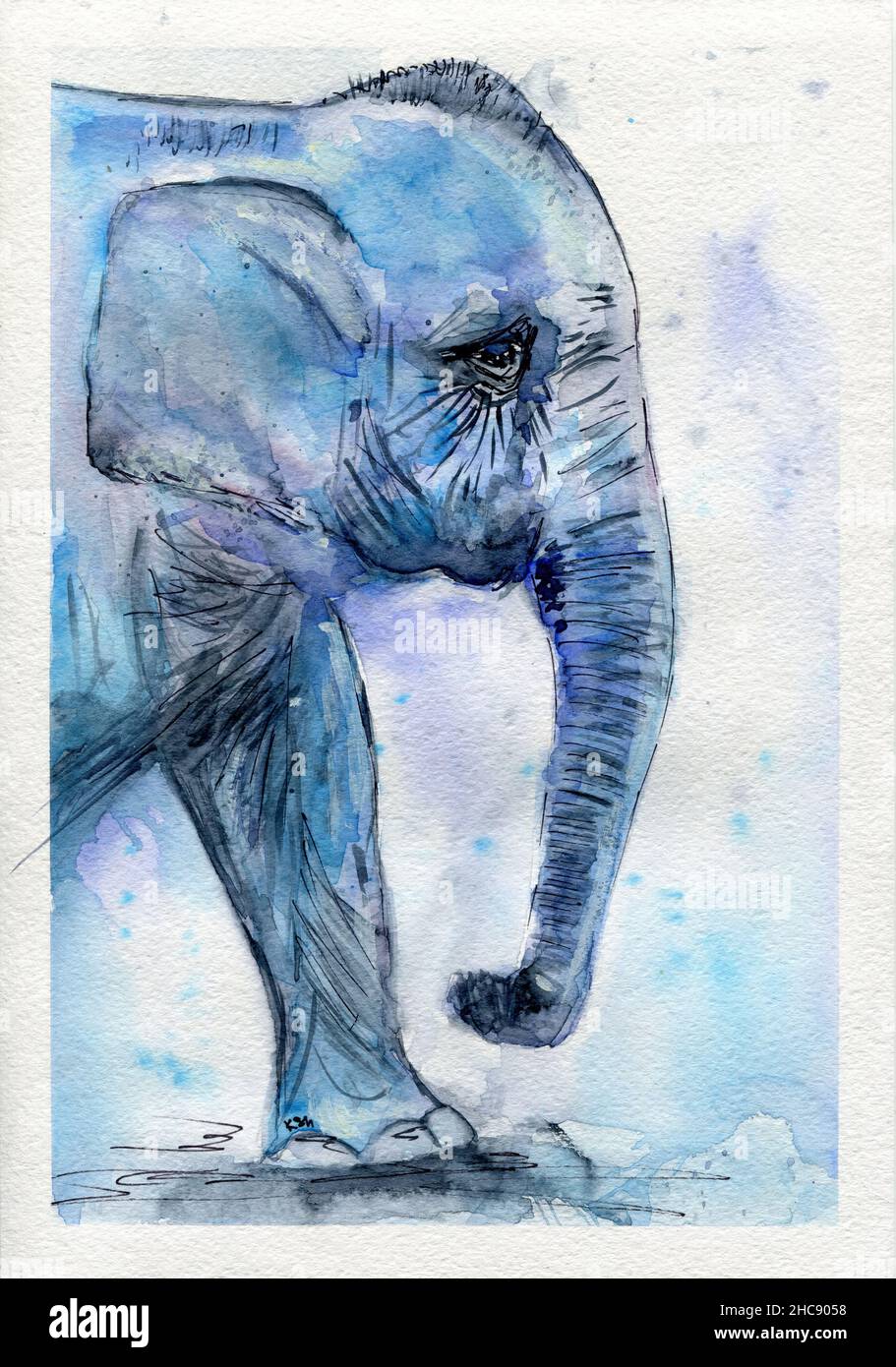 Watercolor illustration. Watercolor elephant painting. Blue elephant ...