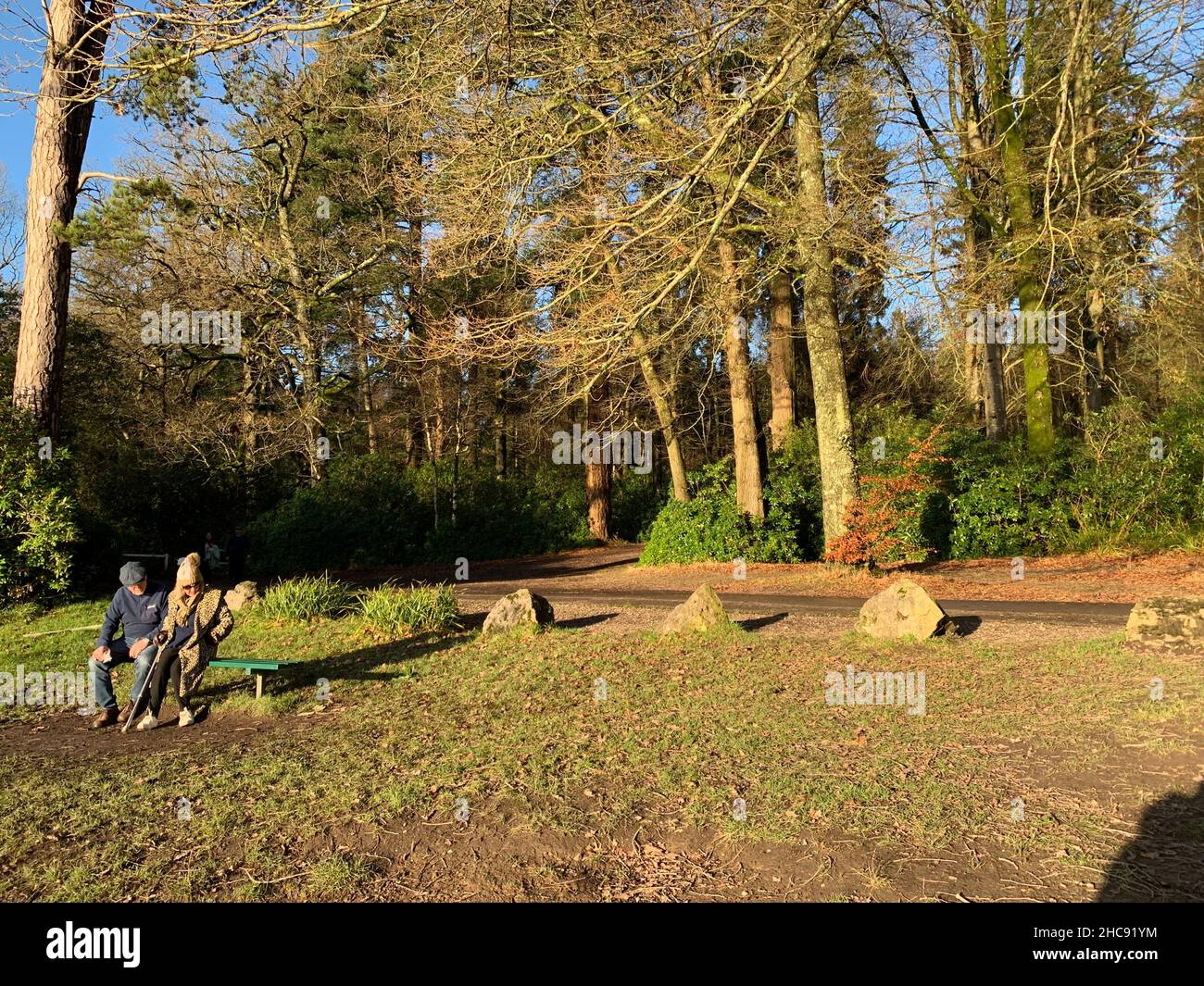 Longleat Park near Frome Somerset Stock Photo - Alamy