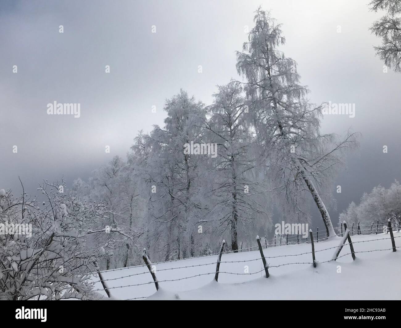 Crepoljsko hi-res stock photography and images - Alamy