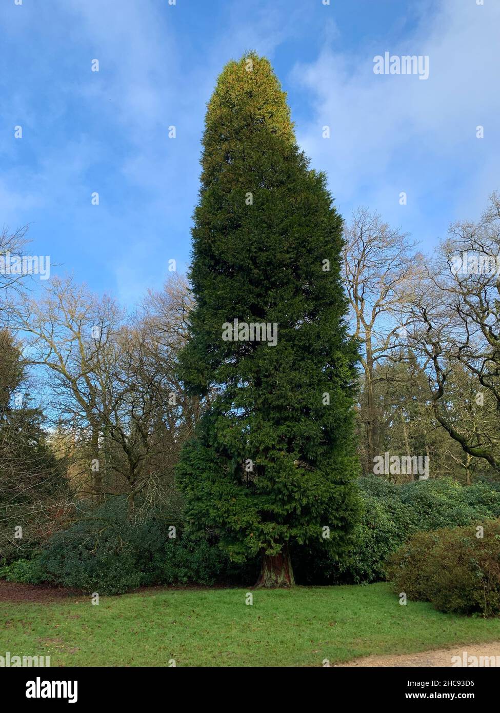 Longleat Park near Frome Somerset Stock Photo - Alamy