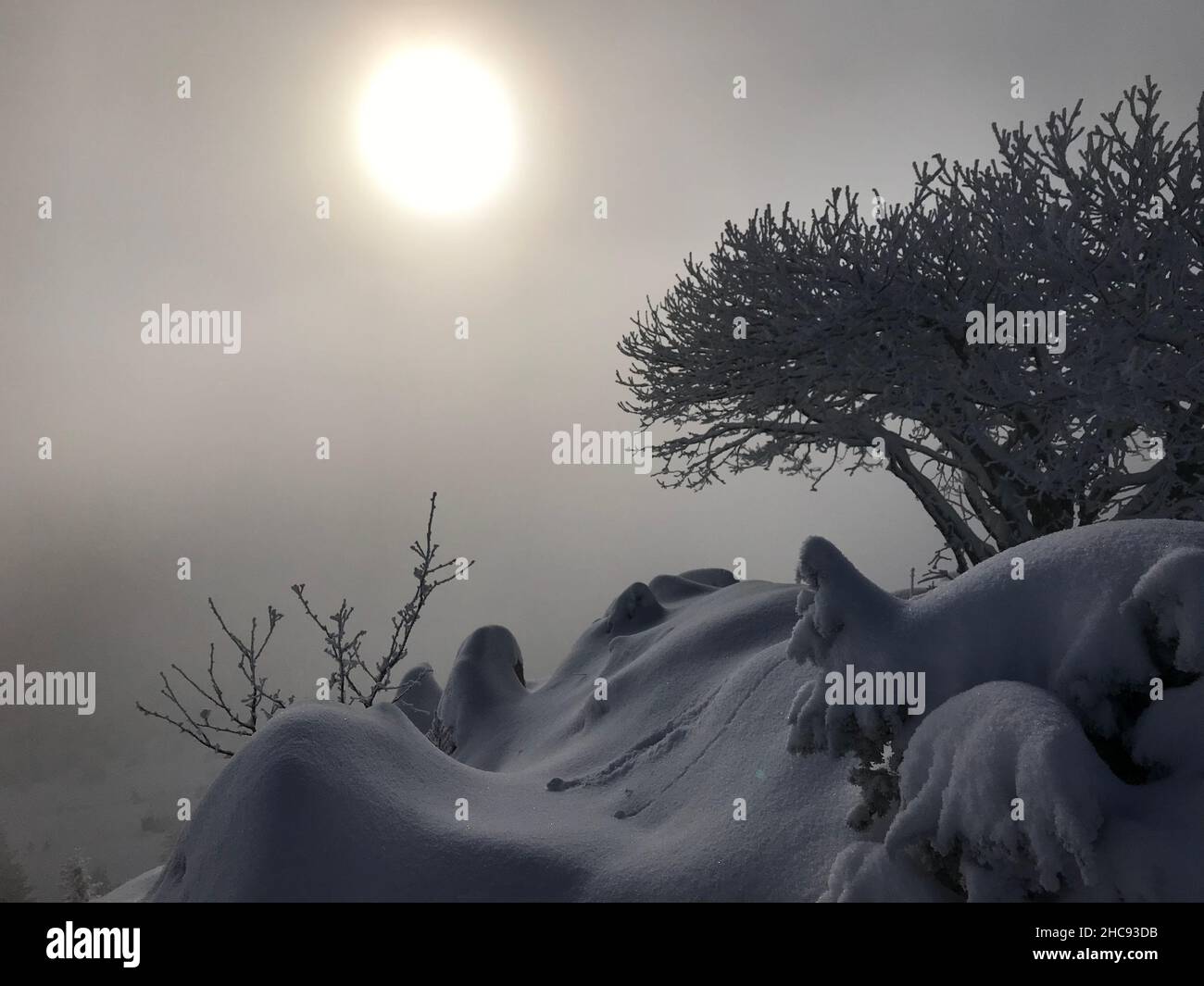 Crepoljsko hi-res stock photography and images - Alamy