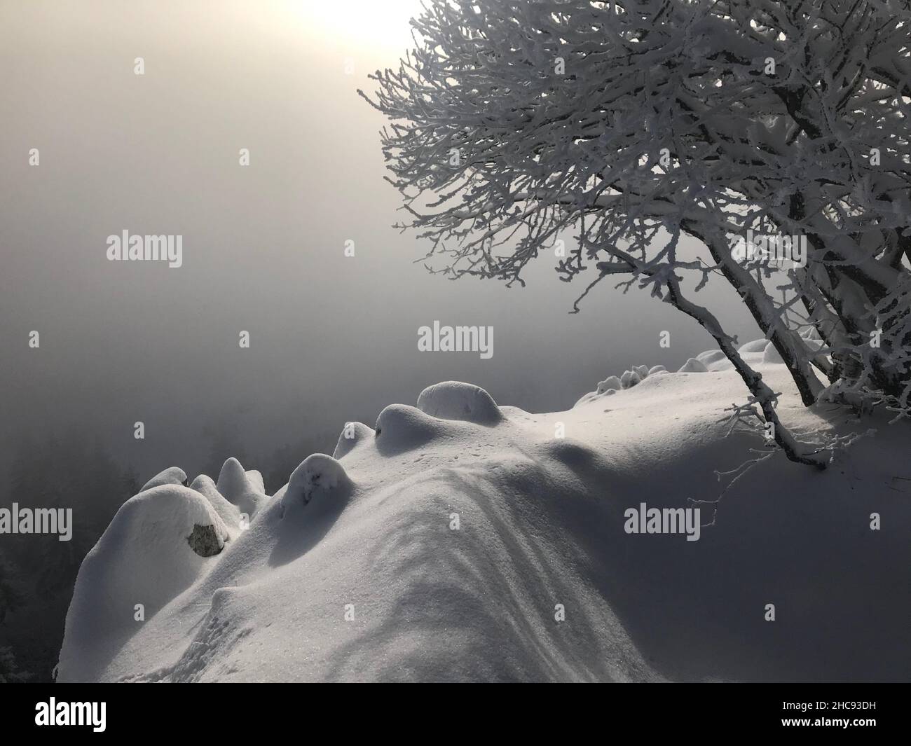 Crepoljsko hi-res stock photography and images - Alamy