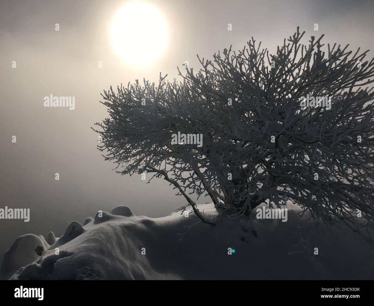 Crepoljsko hi-res stock photography and images - Alamy