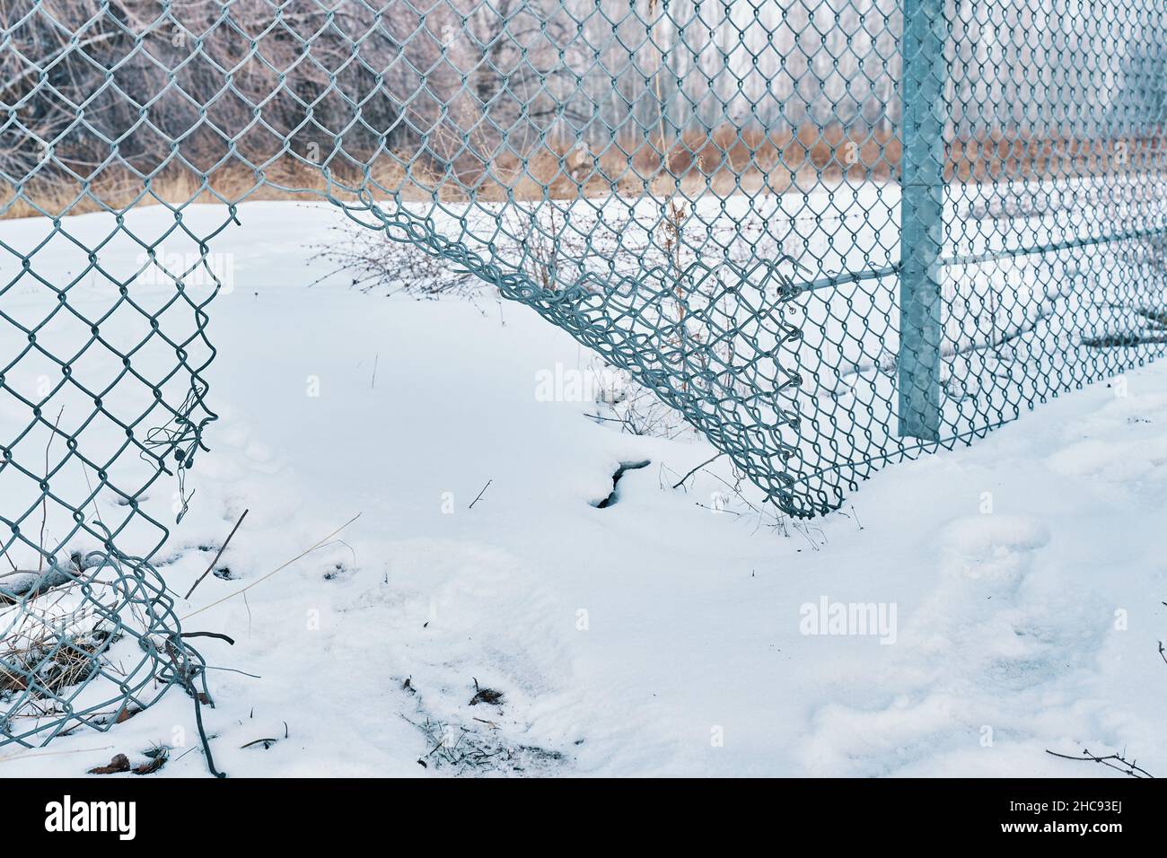 Hole in wire border fence Stock Photo - Alamy